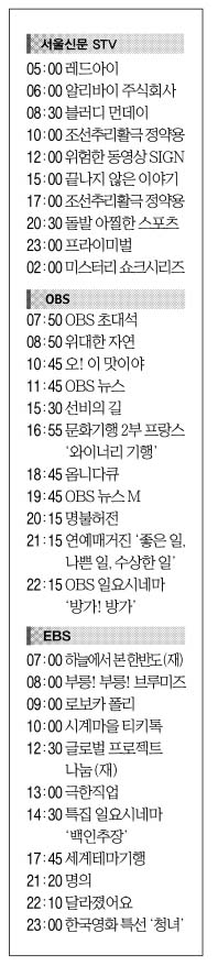 [9일 서울신문 STV·OBS·EBS] | 연예 | 방송