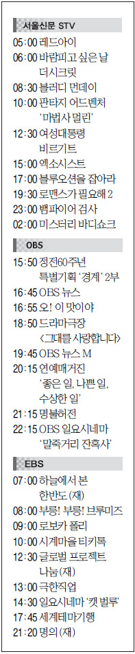 [28일(日) 서울신문 STV·OBS·EBS] | 연예 | 방송