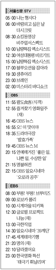 [25일(日) 서울신문 STV·OBS·EBS] | 연예 | 방송