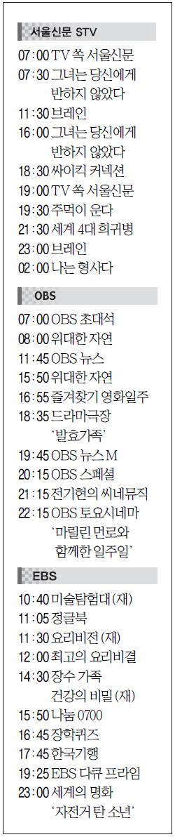 [31일 서울신문 STV·OBS·EBS] | 연예 | 방송