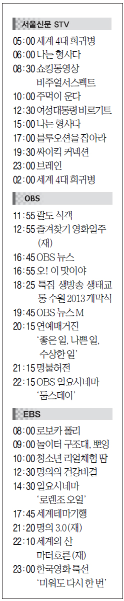 [1일 서울신문 STV·OBS·EBS] | 연예 | 방송
