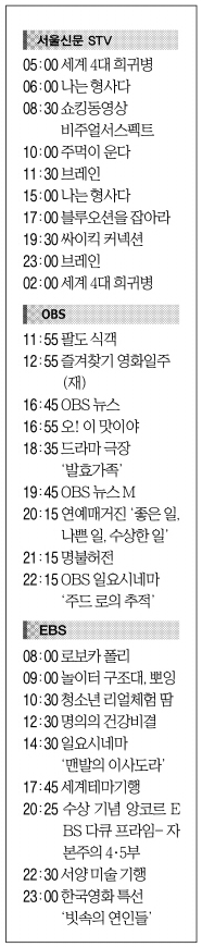 [8일(日) 서울신문 STV·OBS·EBS] | 연예 | 방송