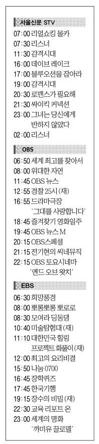 [15일(土) 서울신문 STV·OBS·EBS] | 연예 | 방송