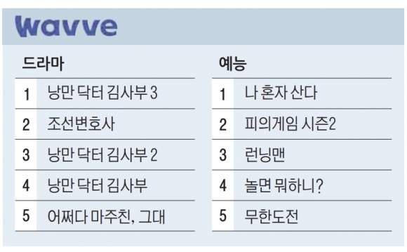 OTT 분야별 TOP5 | 서울Pn