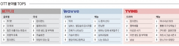 OTT 분야별 TOP5 | 서울Pn
